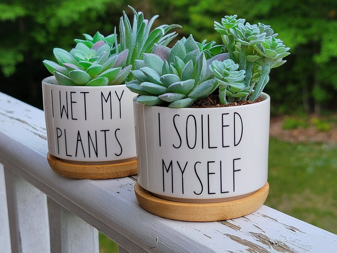 2 Pack Funny Succulent Planters, I Soiled Myself & I Wet My Plants ...