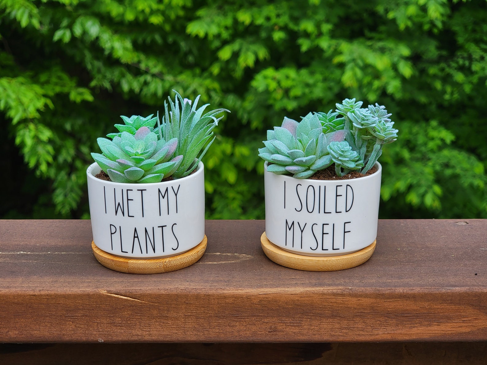 2 Pack Funny Succulent Planters I Soiled Myself & I Wet My | Etsy