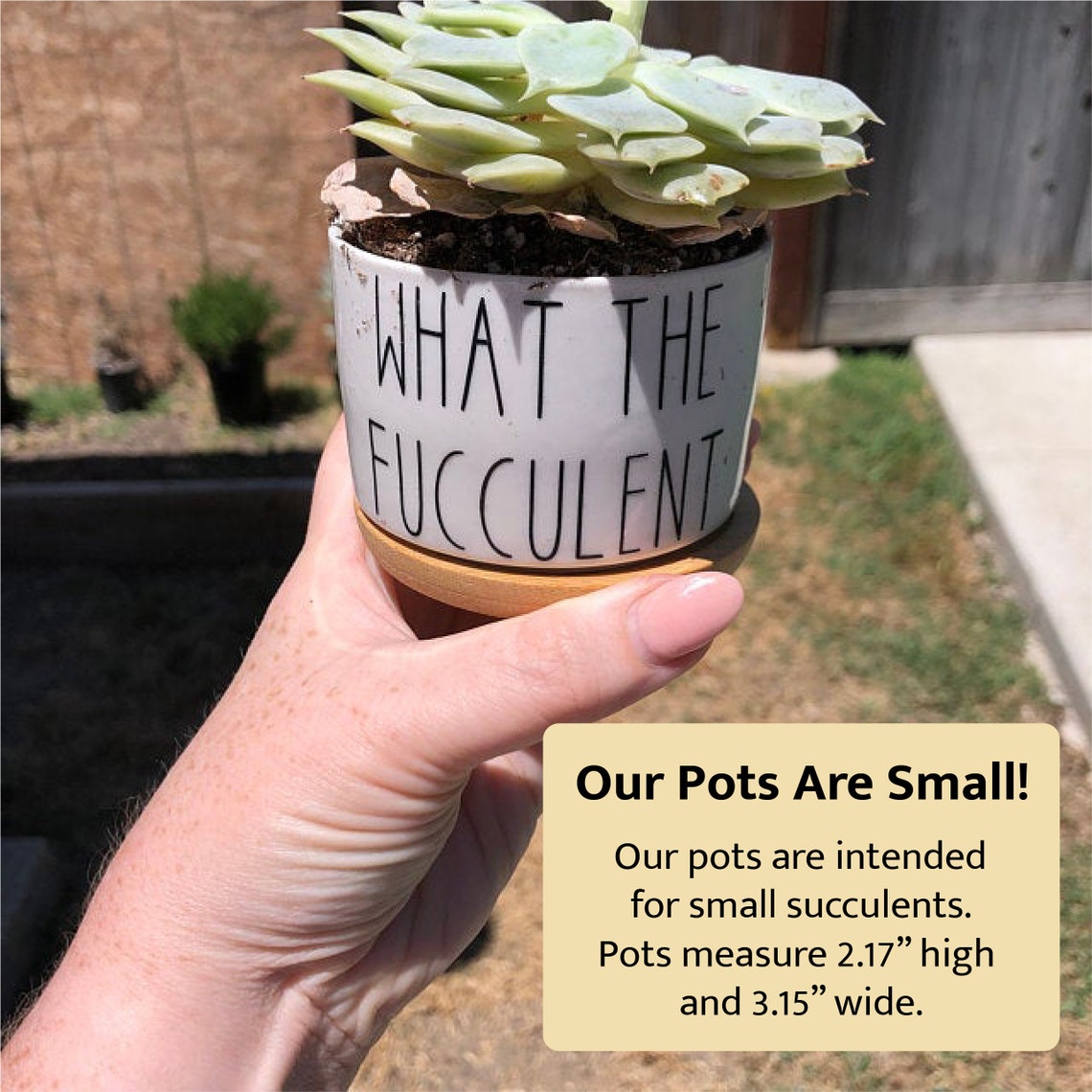 Positive Planters 3 Pack Succulent Pots, Cute Cactus Multipack Pots ...
