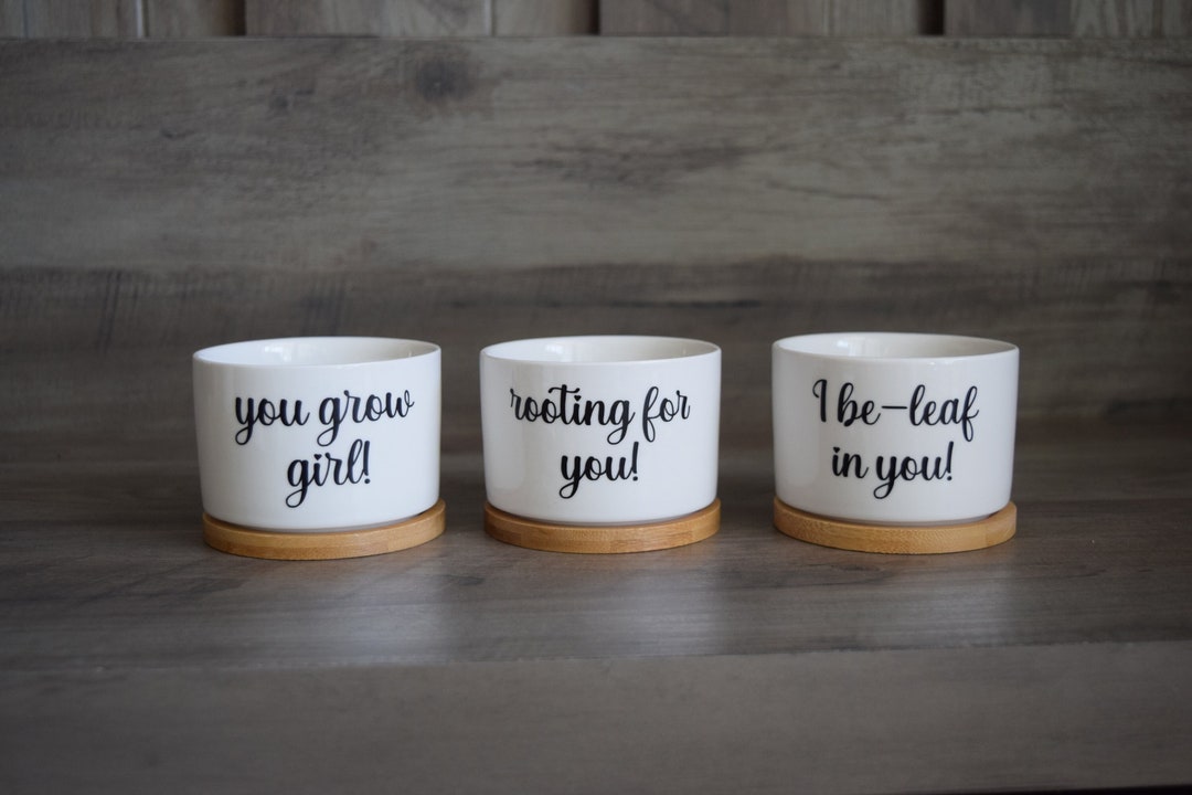 Positive Planters 3 Pack Succulent Pots I Be-leaf in You - Etsy
