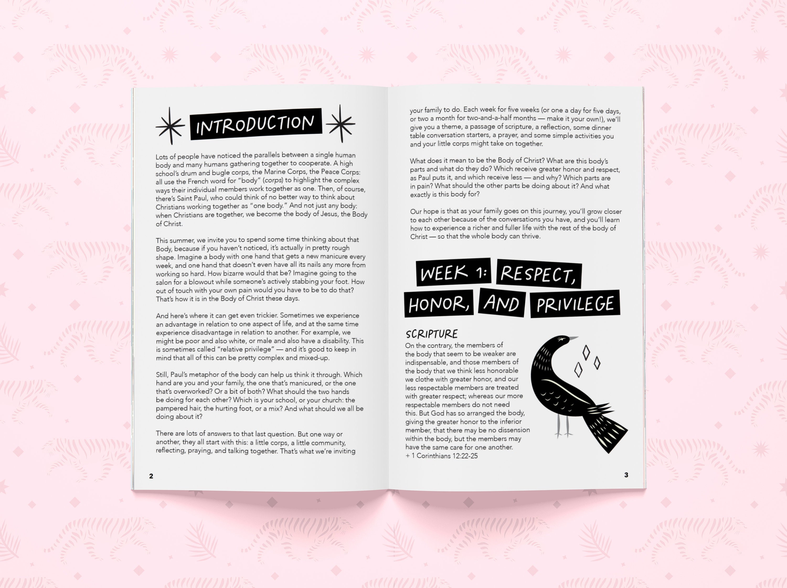 The Anatomy of a Christian: A Zine on Privilege and Solidarity • Summer ...