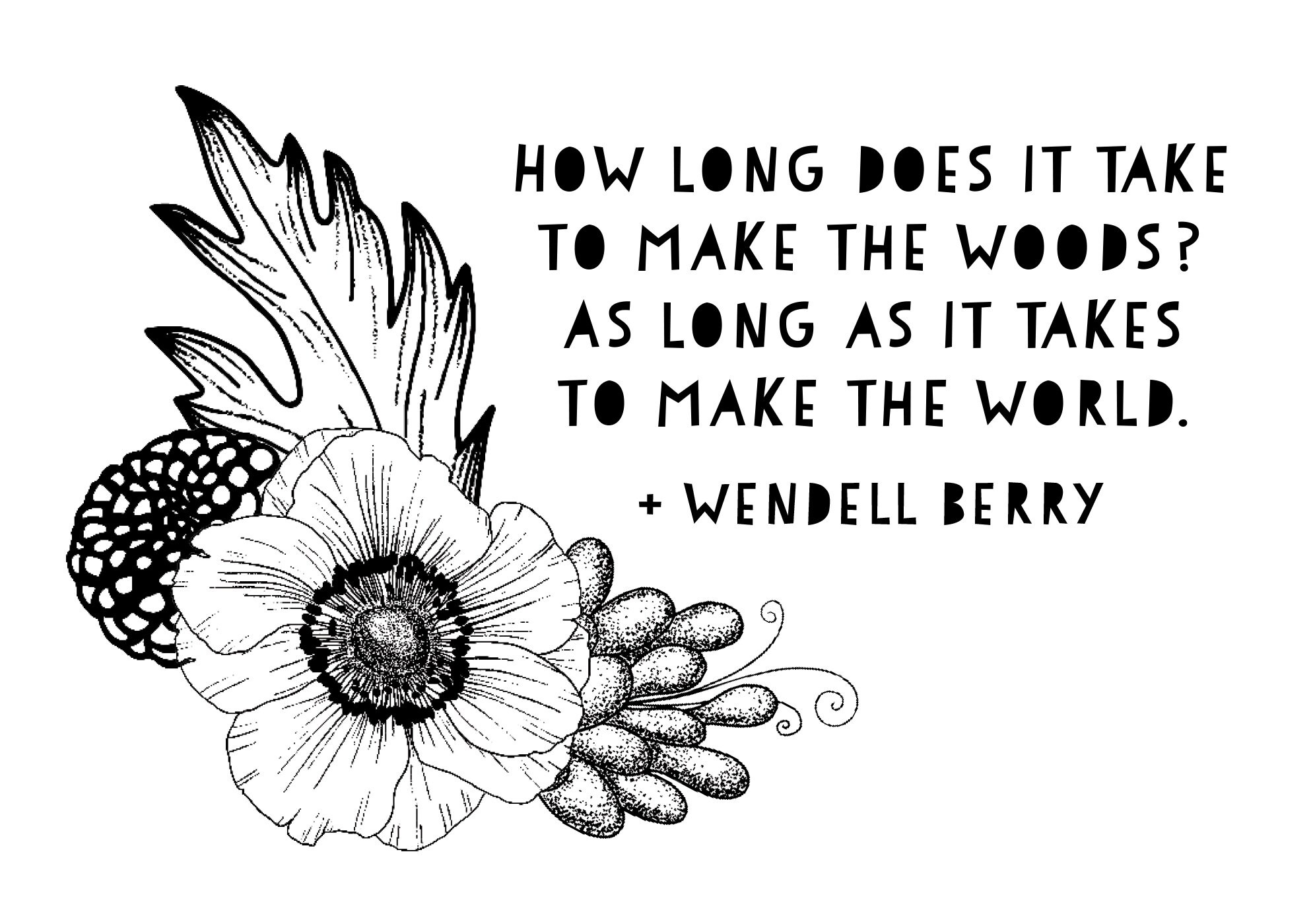Wendell Berry Poem, "how Long Does It Take to Make the Woods ...