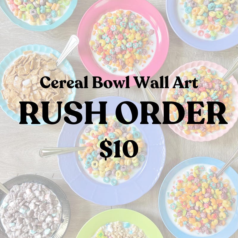 Fake Cereal in Bowl - Etsy