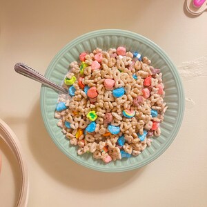 Hanging Faux Food Cereal Wall Art Decor Bespoke Lucky Charms Fruit ...
