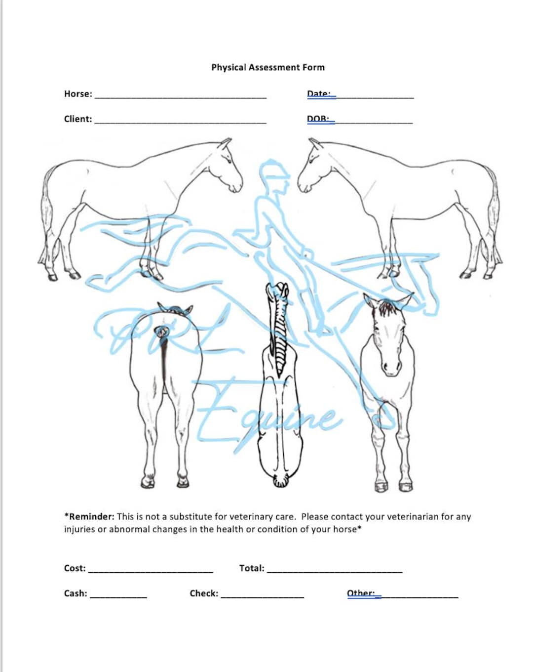 Numbered Equine Bodywork Form - Etsy