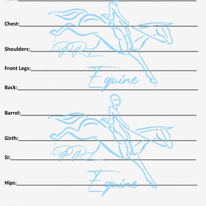 Equine Bodywork Form - Etsy