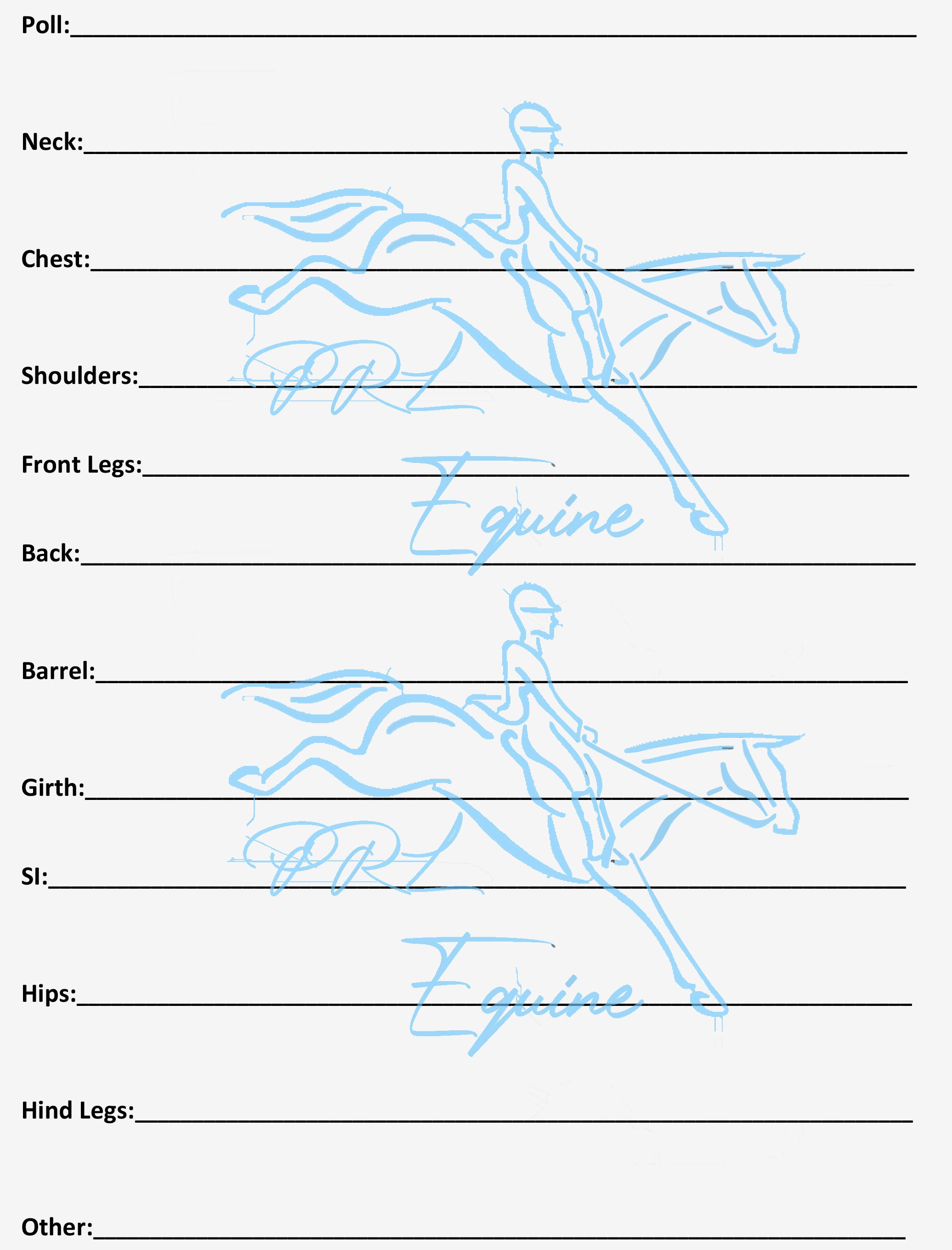 Equine Bodywork Form - Etsy