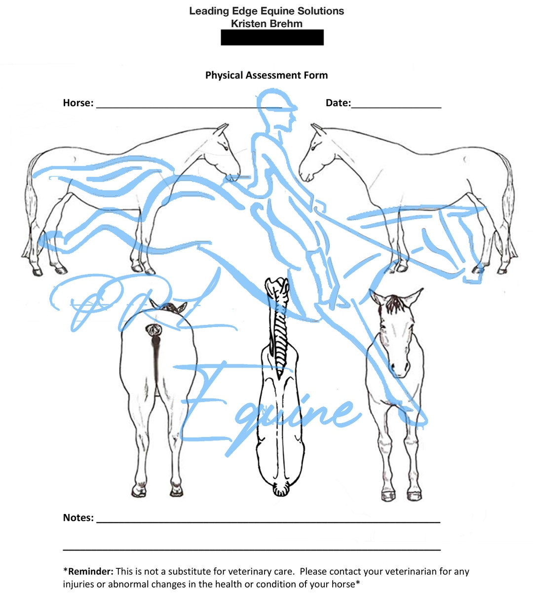 Custom Equine Bodywork Form - Etsy