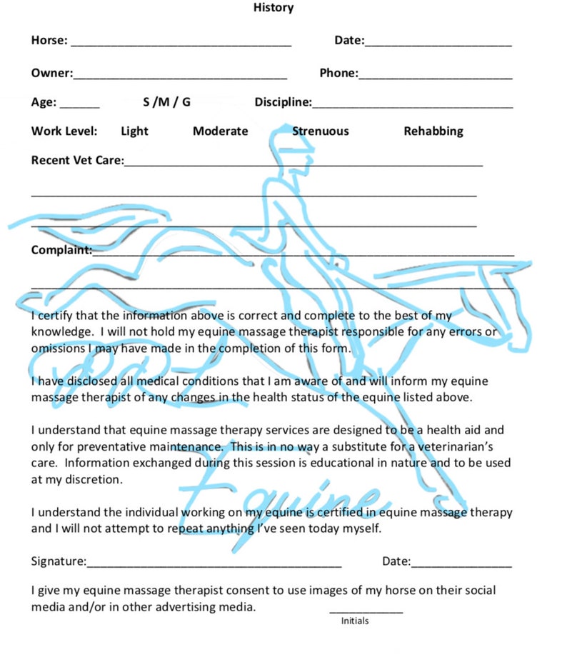 Equine History Assessment Form - Etsy