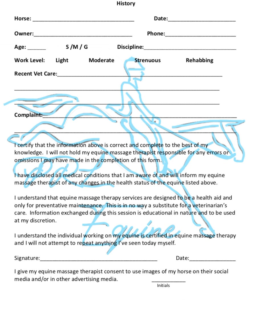 Equine History Assessment Form - Etsy