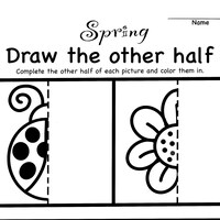 Animal Grid Drawing Worksheets: Art Activity for Kids (PDF) - Etsy