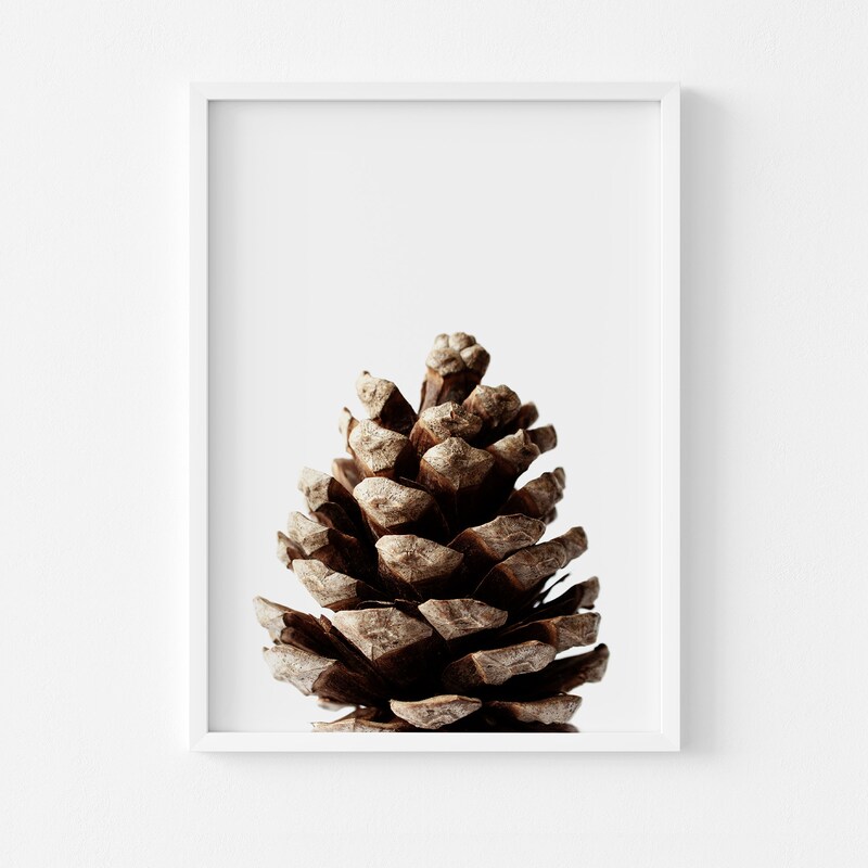 Pinecone Wall Decor - Etsy