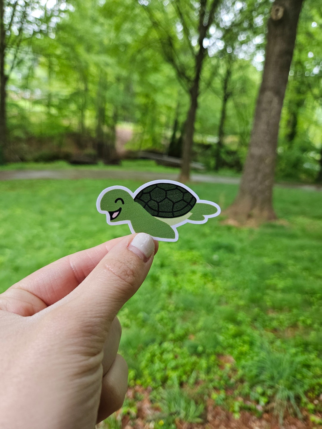 Cartoon Turtle Sticker - Cute Animal Sticker - Gifts for Daughter ...