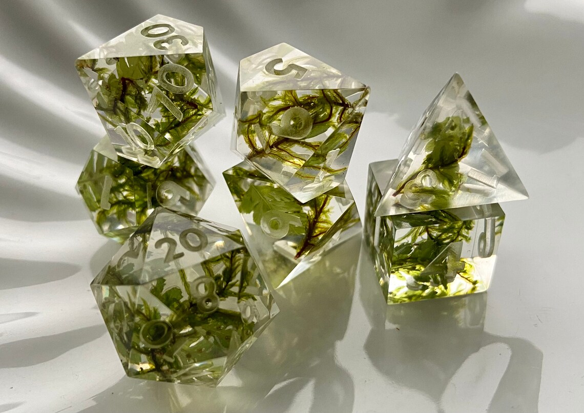 Fern forests Moss dnd sharp edge Druid dice set Critical | Etsy