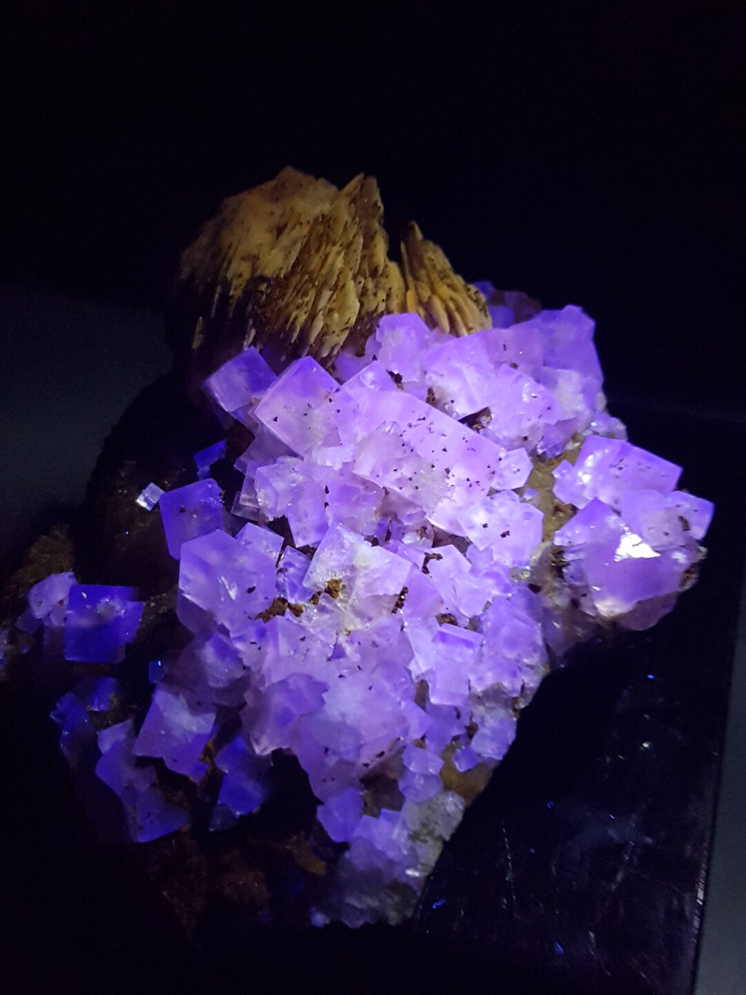 Yellow Gold Fluorite Crystals on Quartz Matrix and Bladed Barite. UV ...