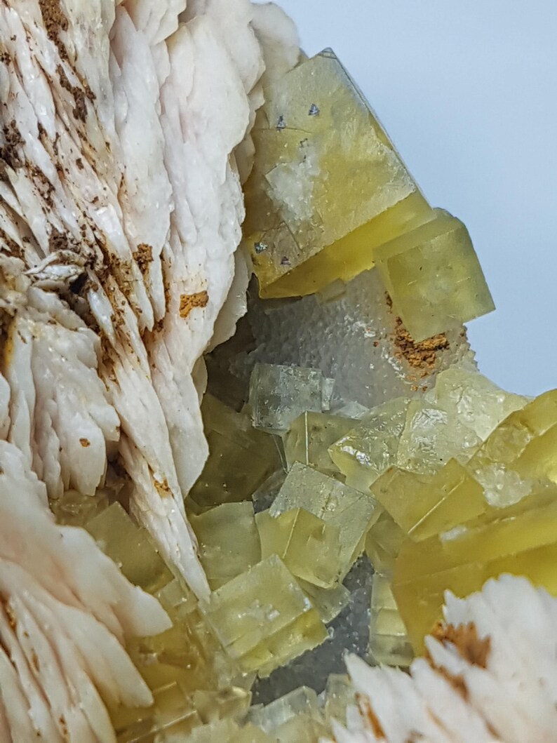 Rare Yellow Gold Cubic Fluorite w bladed Barite on matrix. UV | Etsy