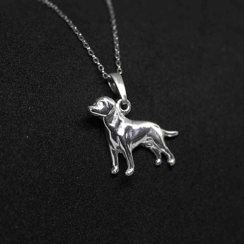 Labrador Retriever Jewelry Pendant-sterling Silver-personalized Pet ...