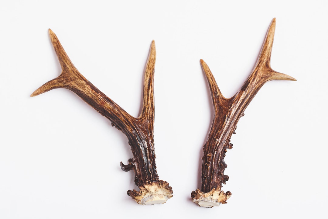 Natural Deer Antler Horns Faux Wood Animal Head Wall Mount Decor Faux ...