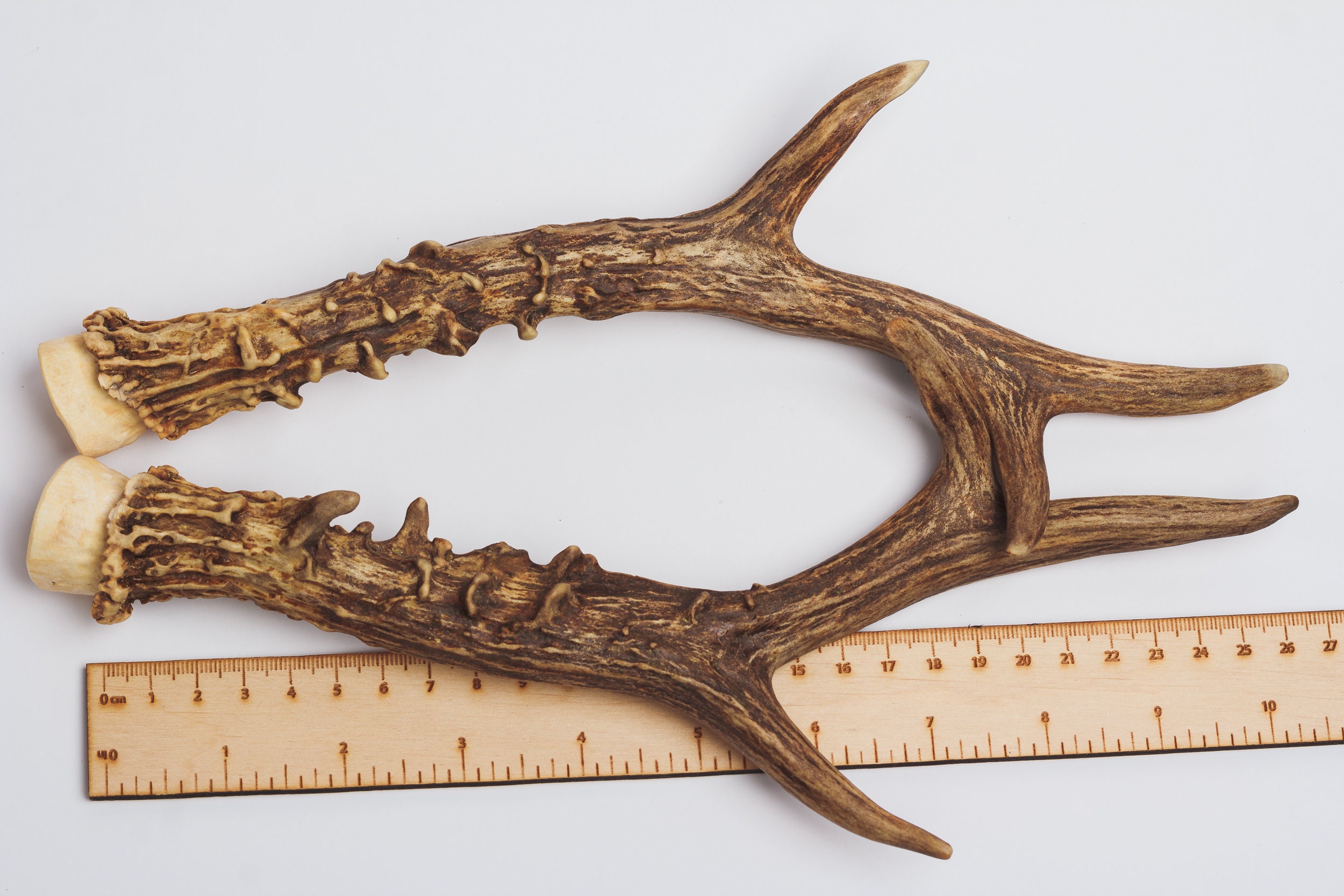 Natural Deer Antler Horns Faux Wood Animal Head Wall Mount Decor Faux ...