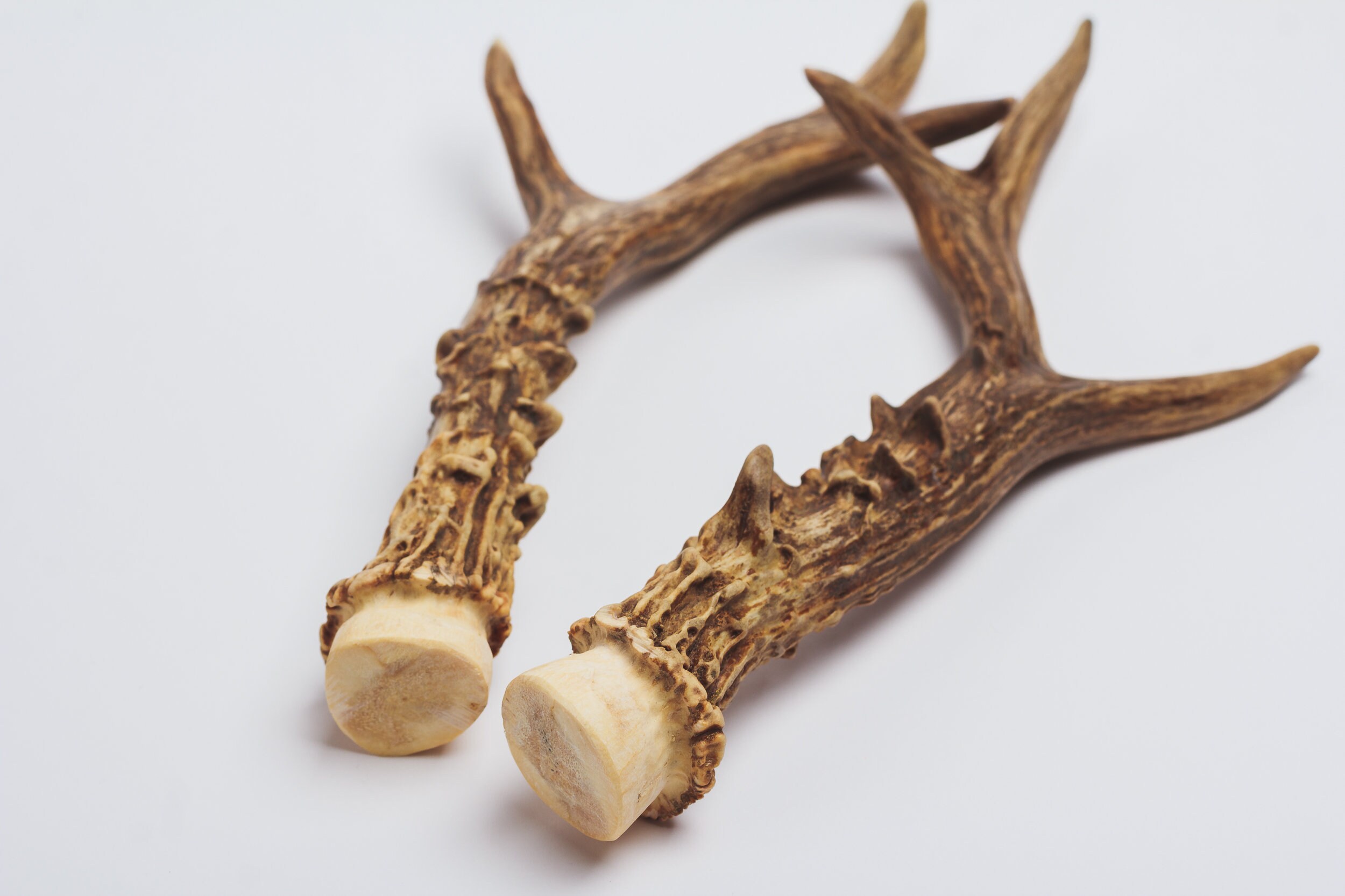 Natural Deer Antler Horns Faux Wood Animal Head Wall Mount Decor Faux ...