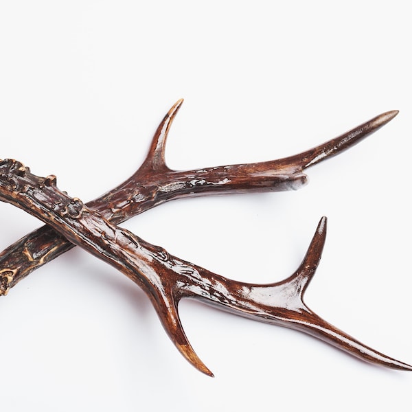 Grandes cuernos de reno - Etsy México