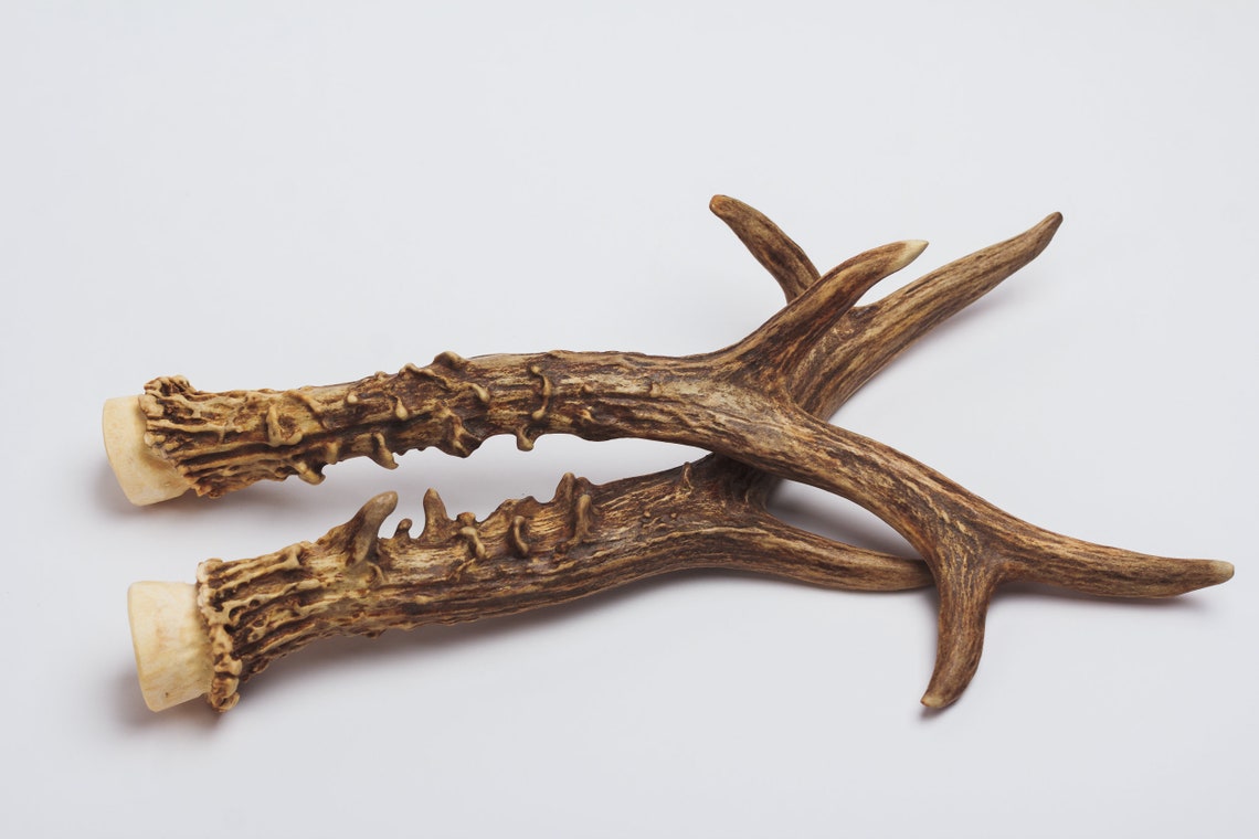 Natural Deer Antler Horns Faux Wood Animal Head Wall Mount - Etsy