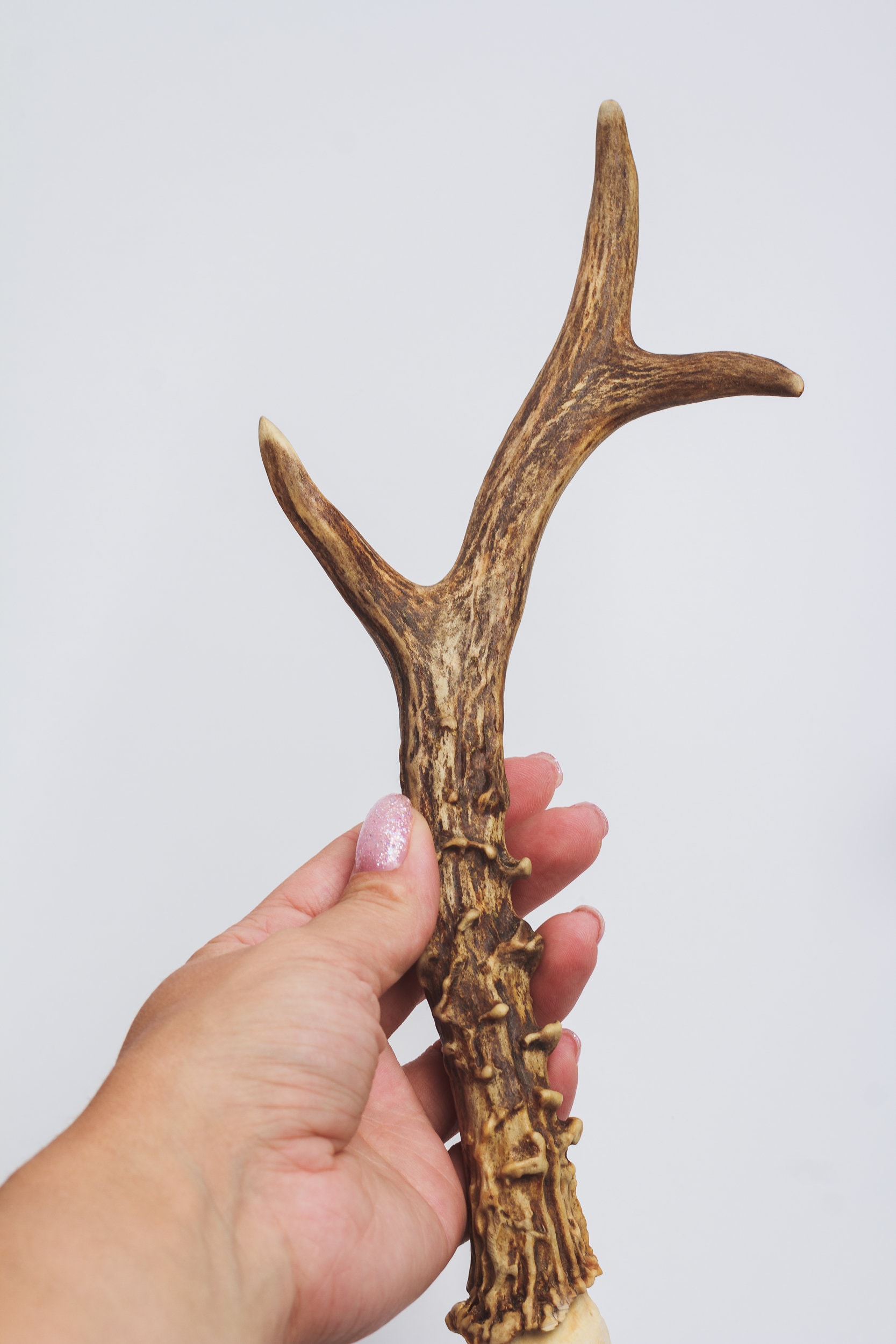 Natural Deer Antler Horns Faux Wood Animal Head Wall Mount Decor Faux ...