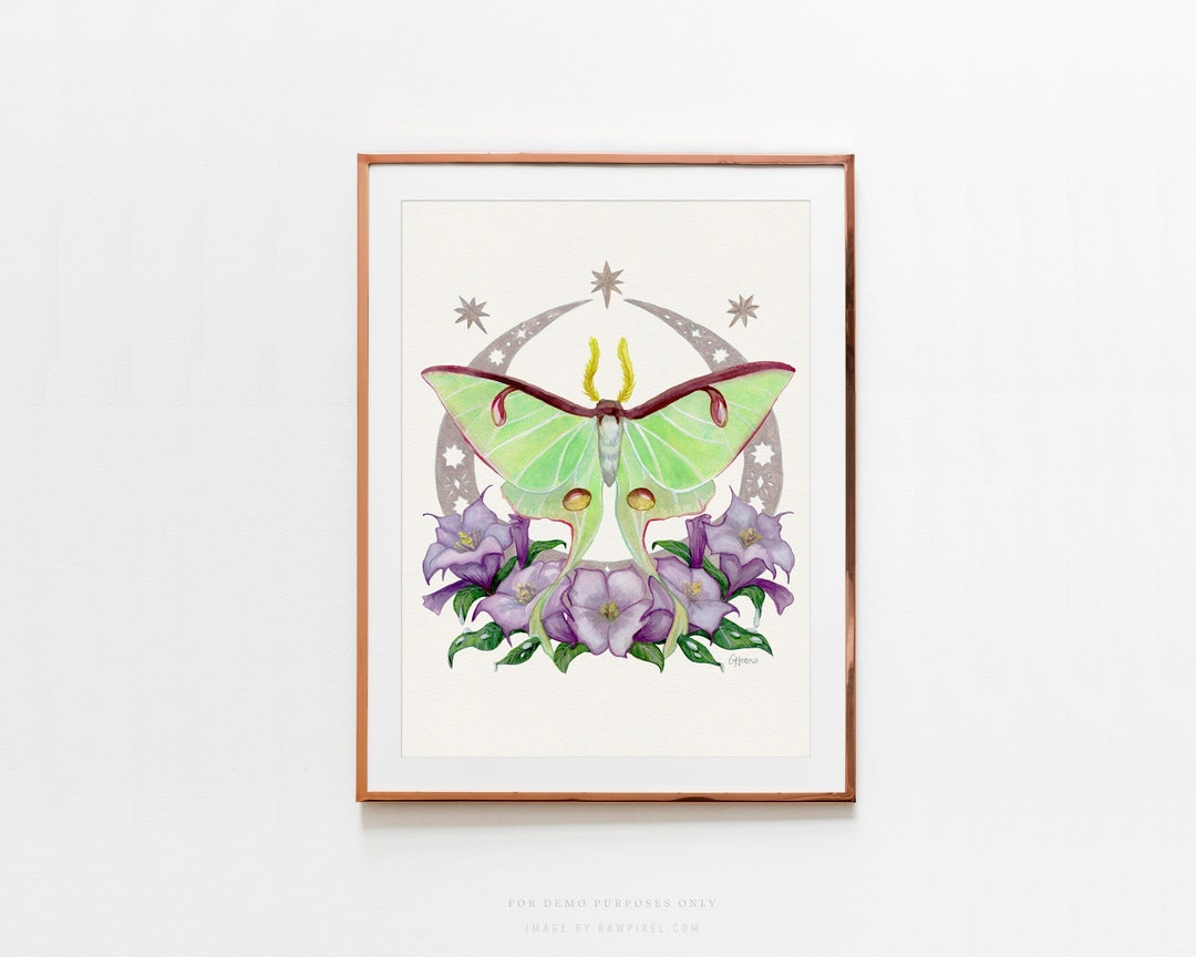 Luna Moth Crescent Moon Art Print - Etsy