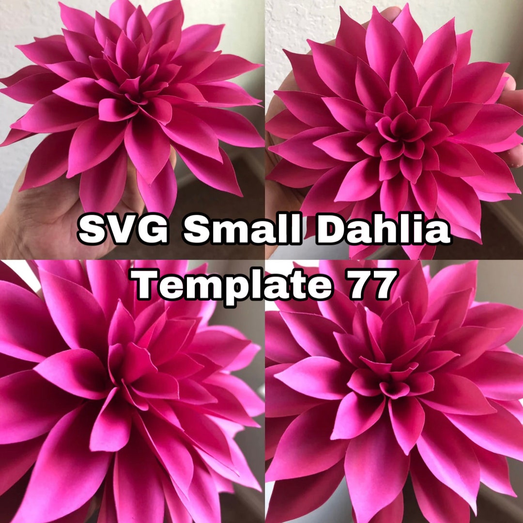 SVG and PDF Small Dahlia Paper Flower Template #77 - Etsy