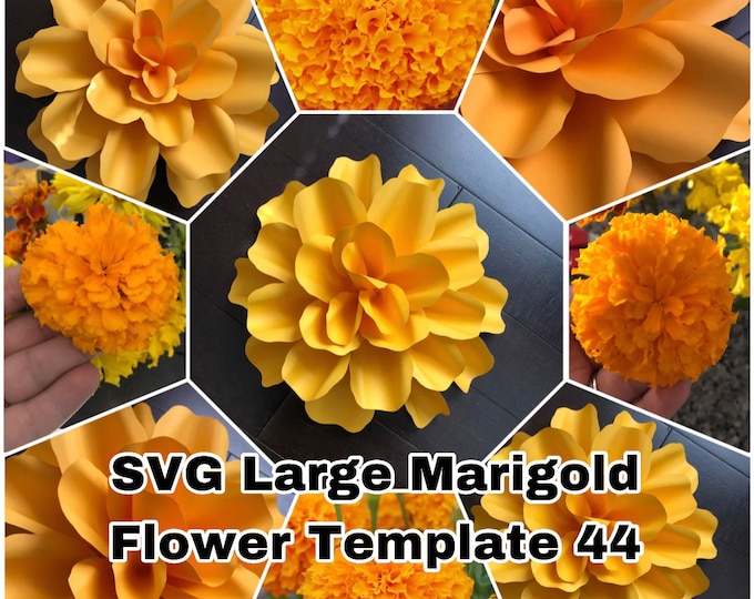SVG and PDF Marigold Paper Flower Template #44 - Etsy