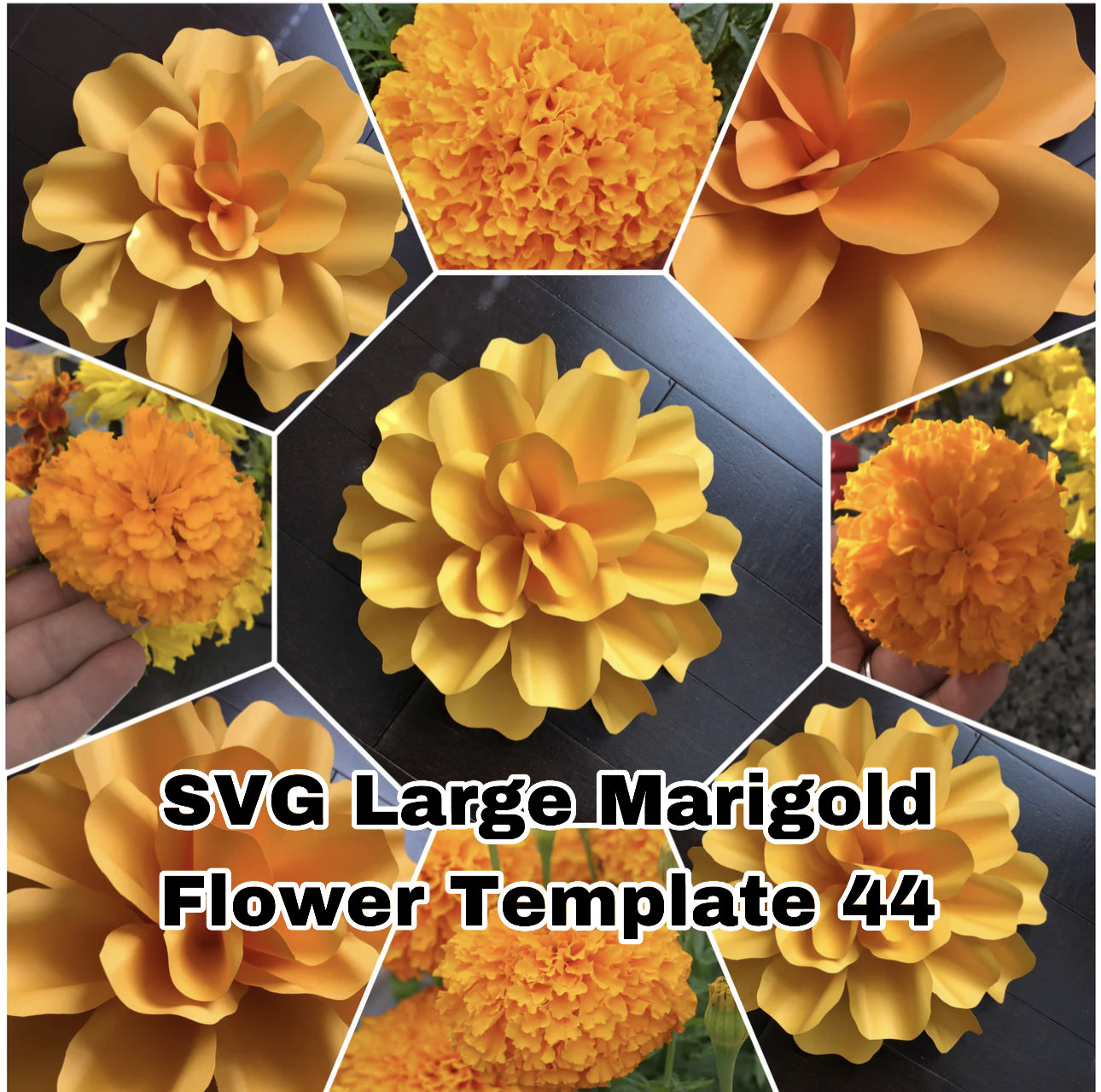 SVG and PDF Marigold Paper Flower Template #44 - Etsy