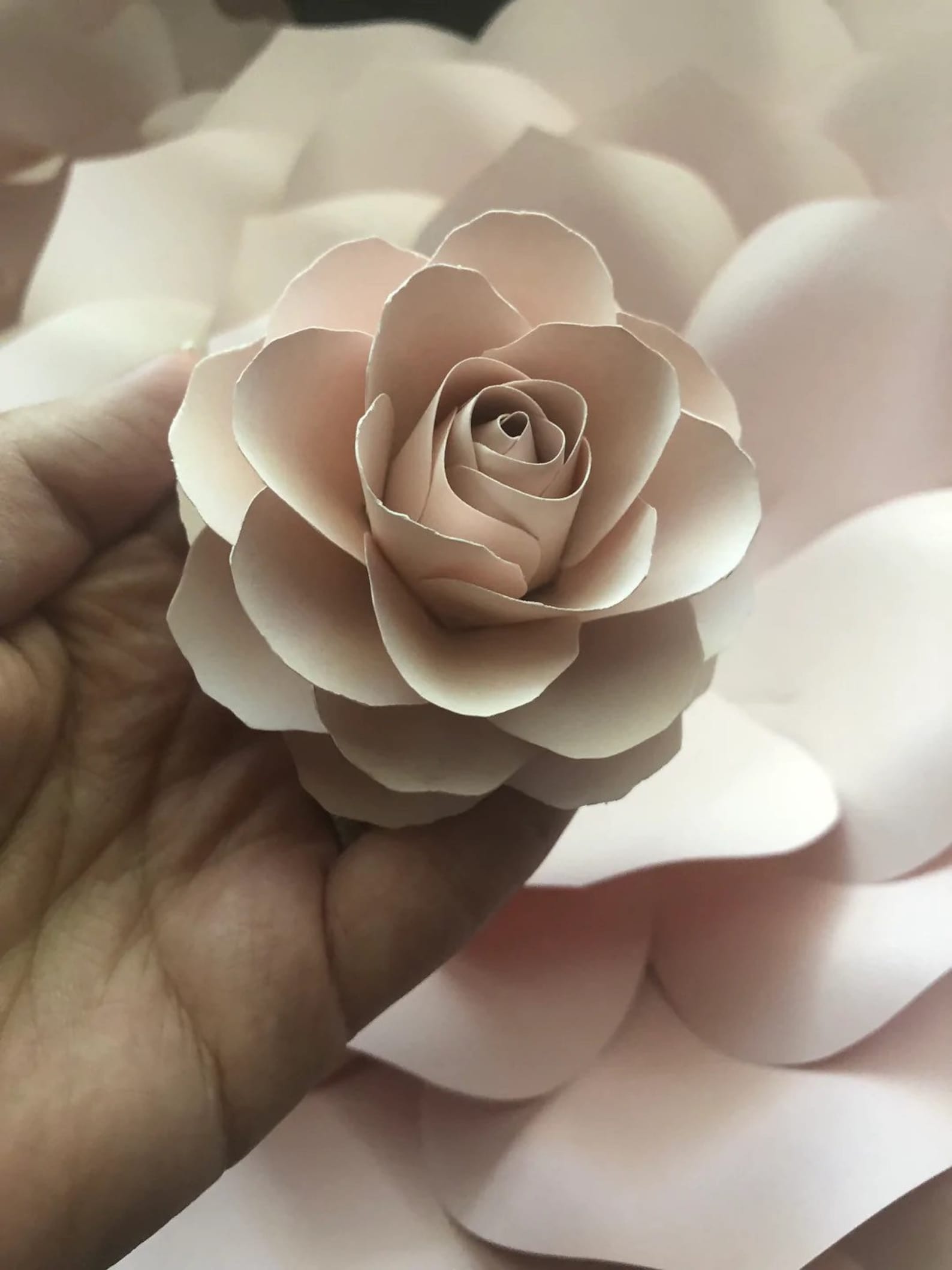 SVG Paper Rose Flower Template #50 | Paper Rose | Rose Template - Etsy