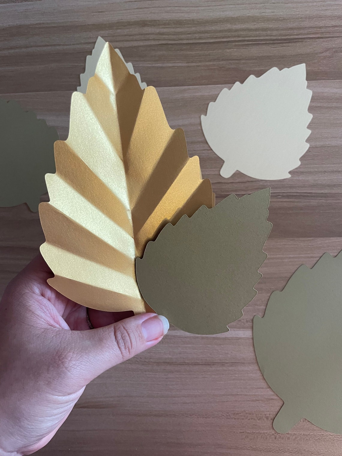 PNG Leaf 1 Paper Leaves Leaf Template Paper Flowers - Etsy