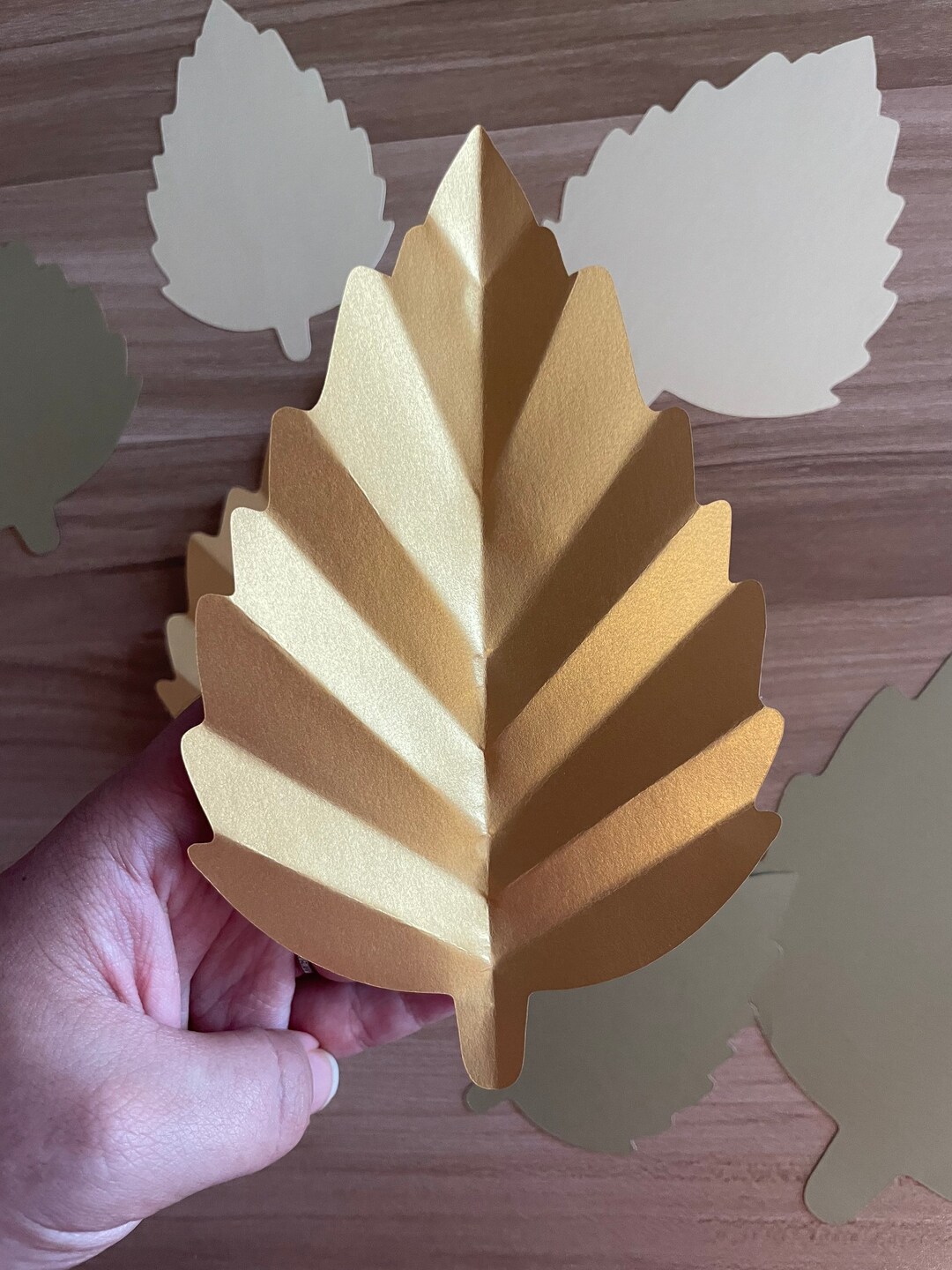 PNG Leaf 1 | Paper Leaves | Leaf Template | Paper Flowers - Etsy