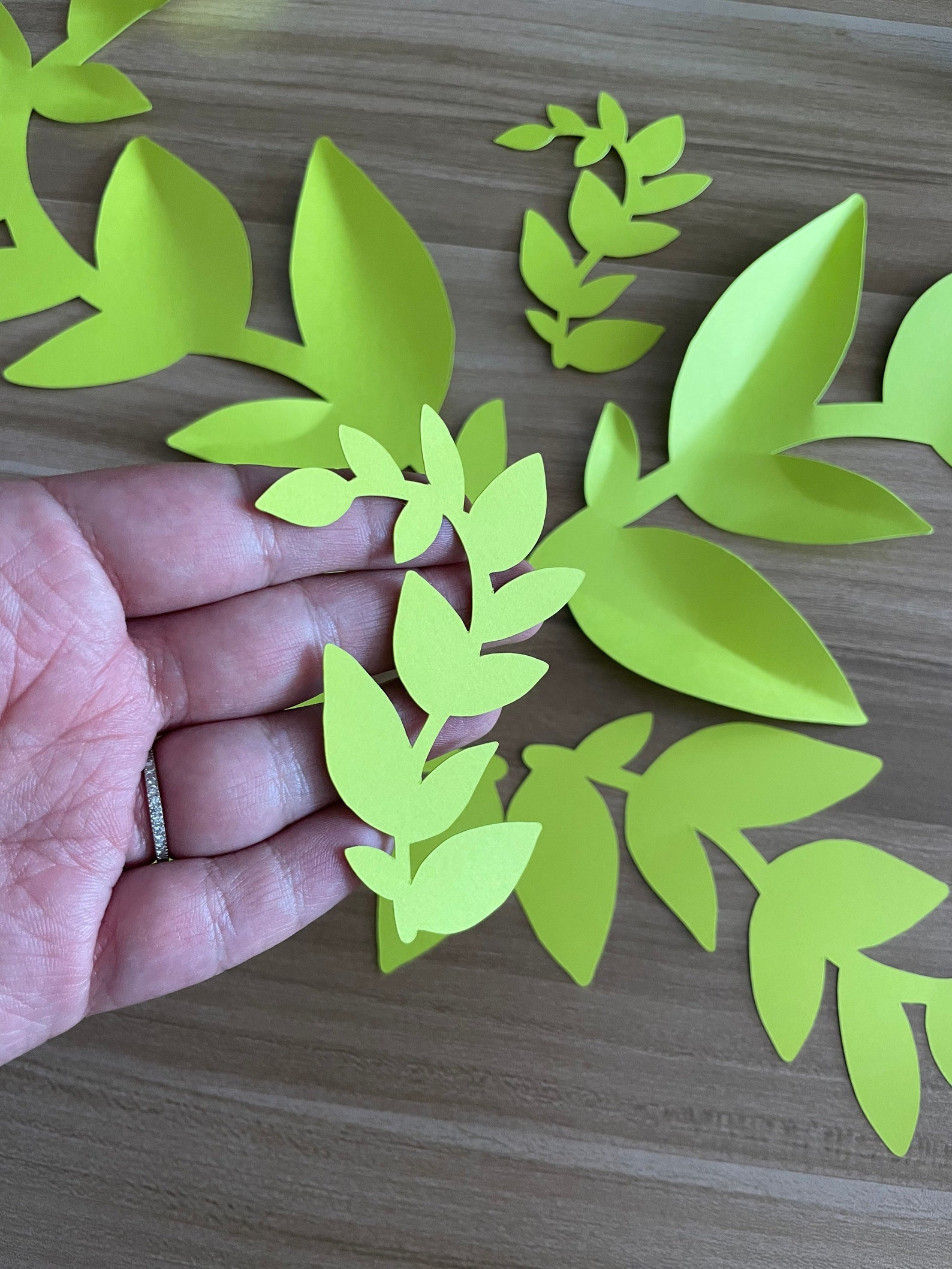 PNG Leaf 2 Paper Leaf Leaf Template Paper Flowers | Etsy