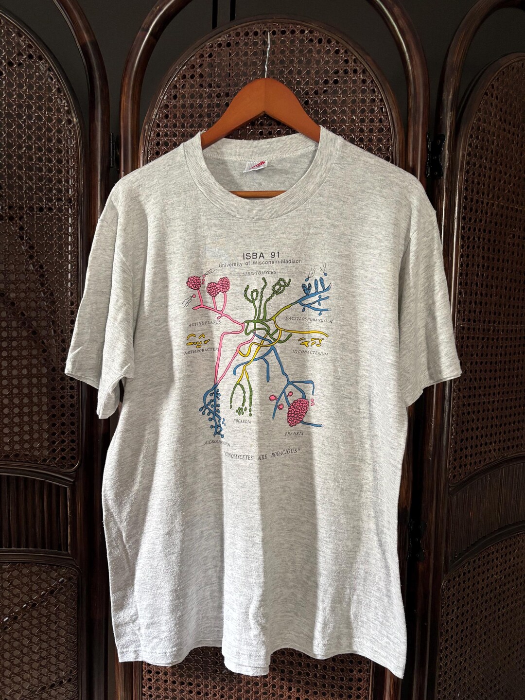 Vintage Actinomycetes Are Bodacious T Shirt Vintage T Shirt Vintage T ...