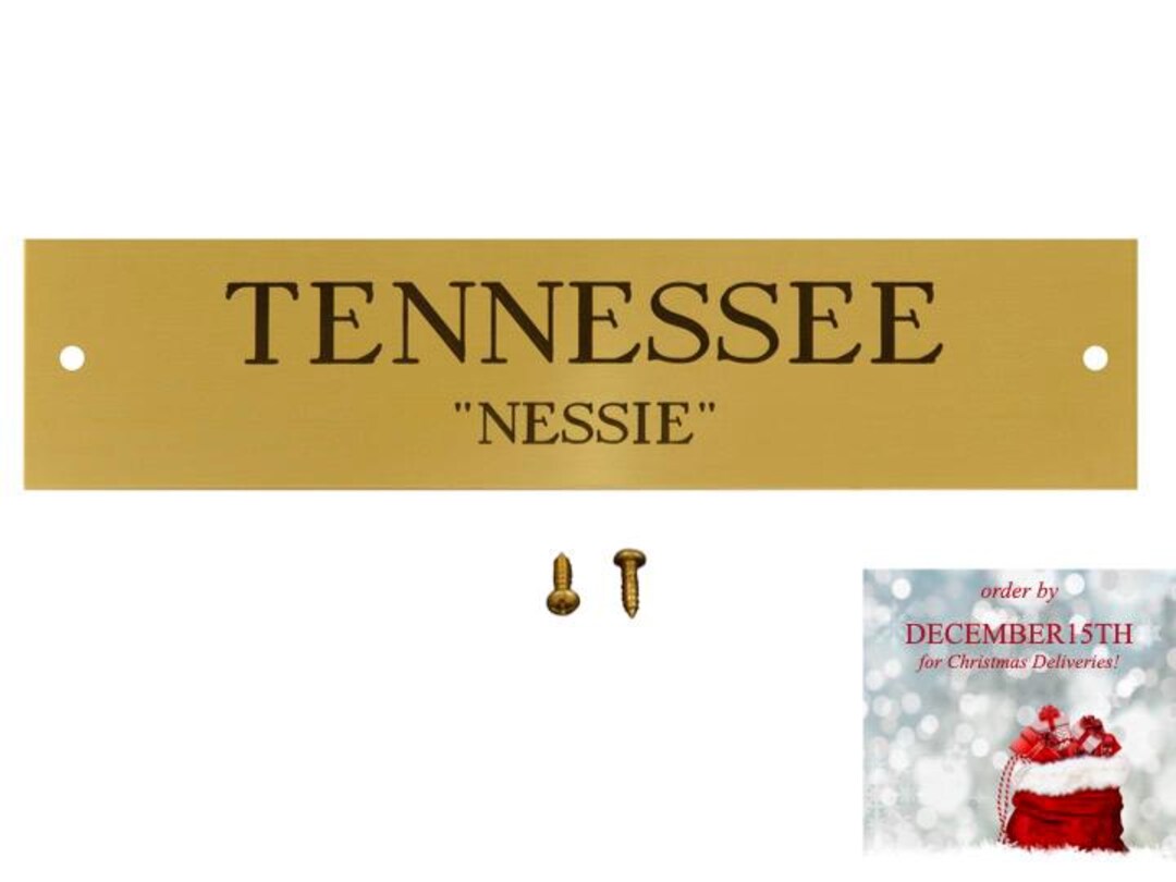 Solid Brass Stall Board or Tack Trunk Name Plate 2 X 8 Rectangular or ...