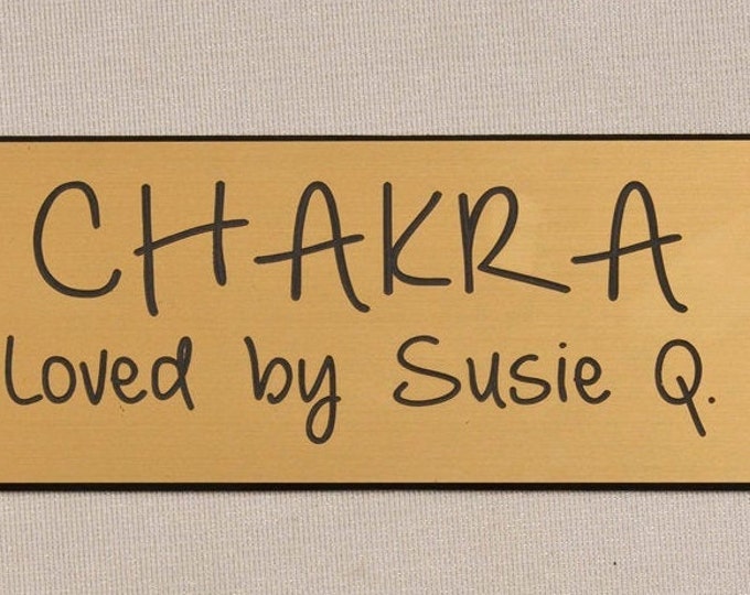 Stall Name Plate Slider Set & Single Plates Only Bold Lamacoid Plastic ...