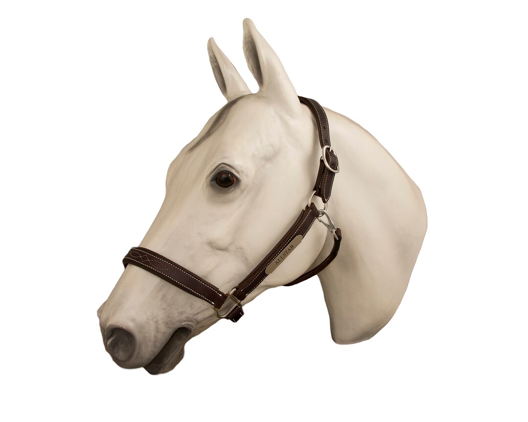 Brown Leather Halter With Solid Nickel Nameplate & Fancy Stitching ...