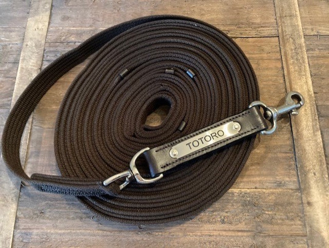 Brown Cotton Lunge Line With Leather Swivel End, Nickel Nameplate and ...