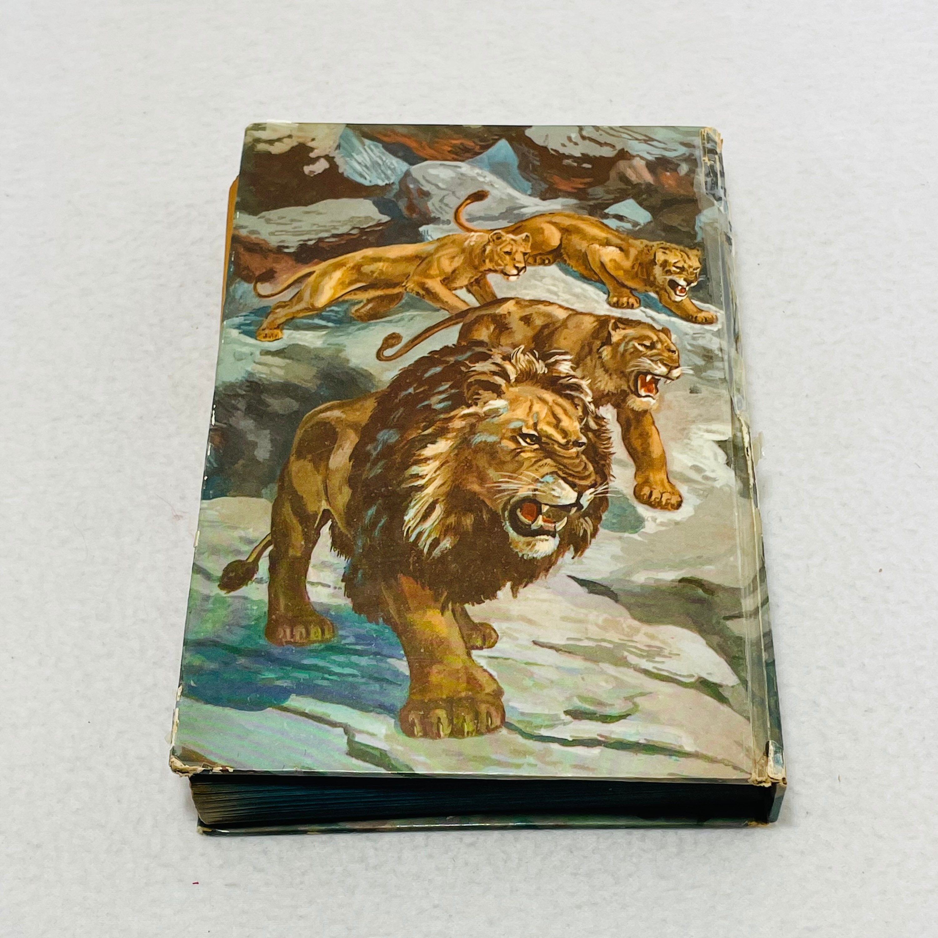 1955 Bible Stories Old New Testament Vintage Book Illustration Picture ...