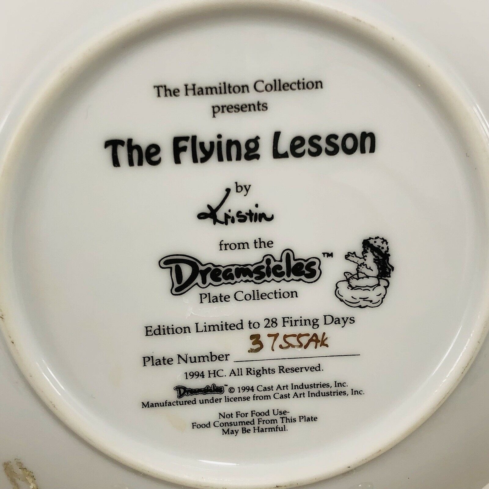 Rare Vintage 1994 Hamilton Collector Plate the Flying Lesson - Etsy