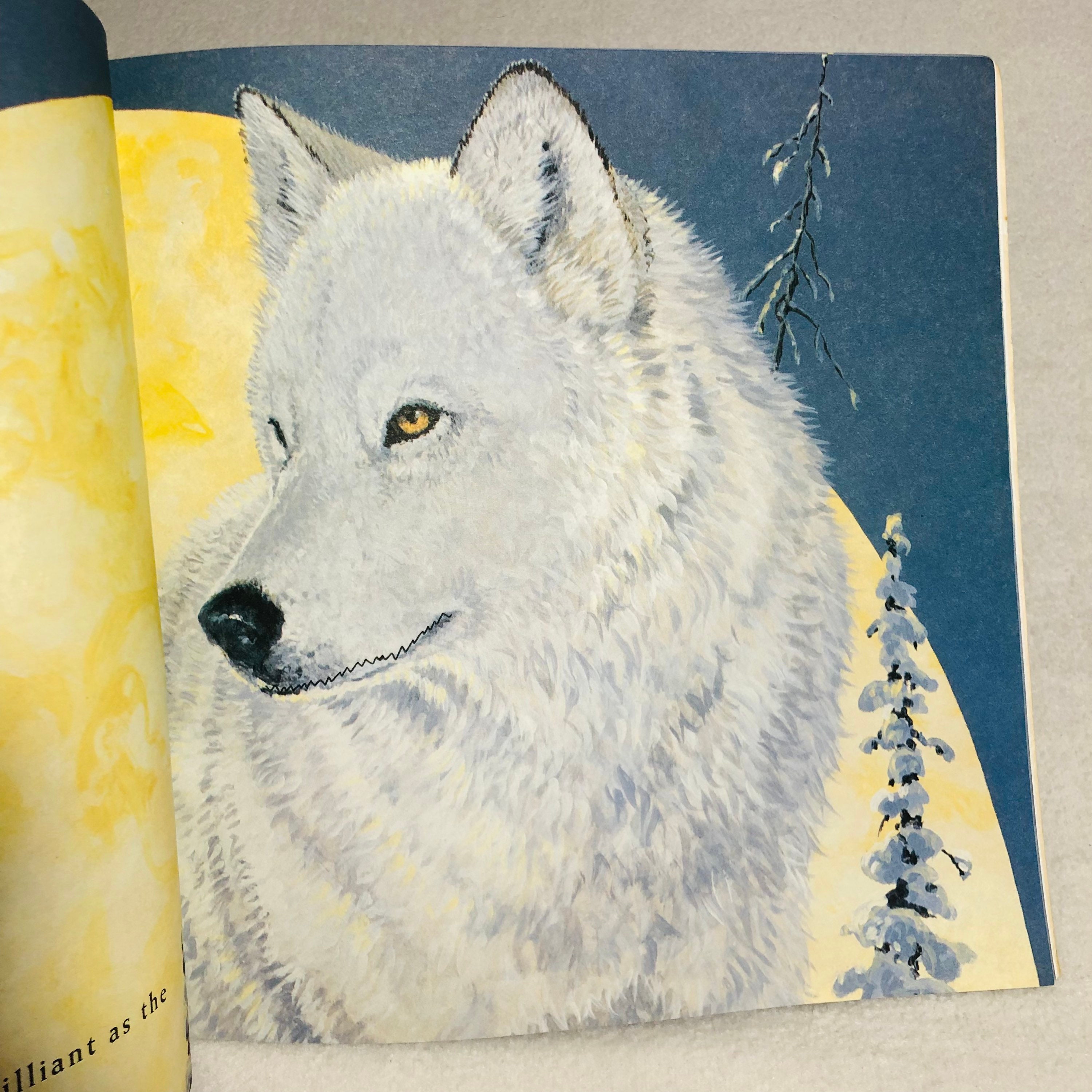 The Eyes of Gray Wolf Special Edition Jonathan London - Etsy