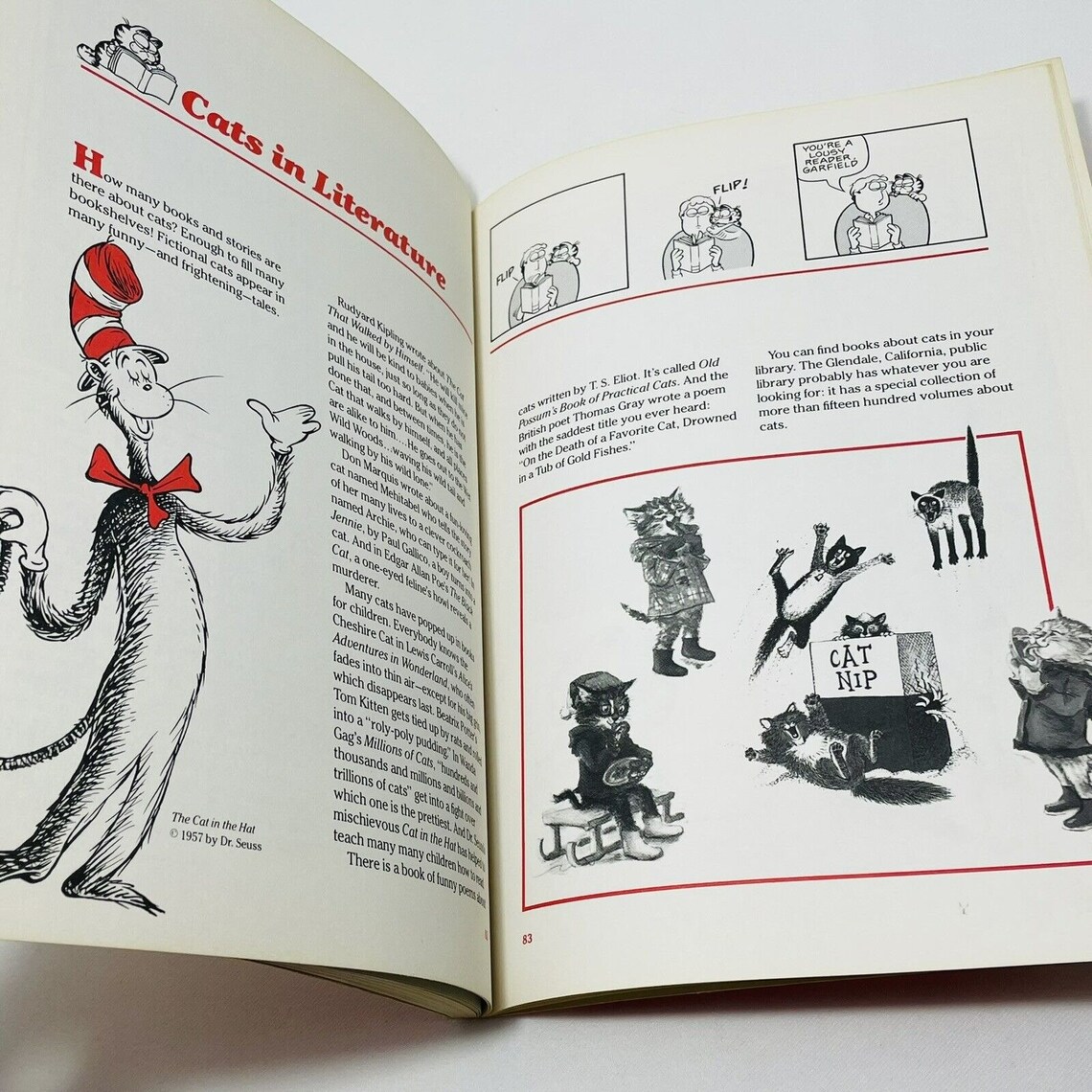 Vintage Garfield Jim Davis Complete Cat Book Information Handbook Guide ...