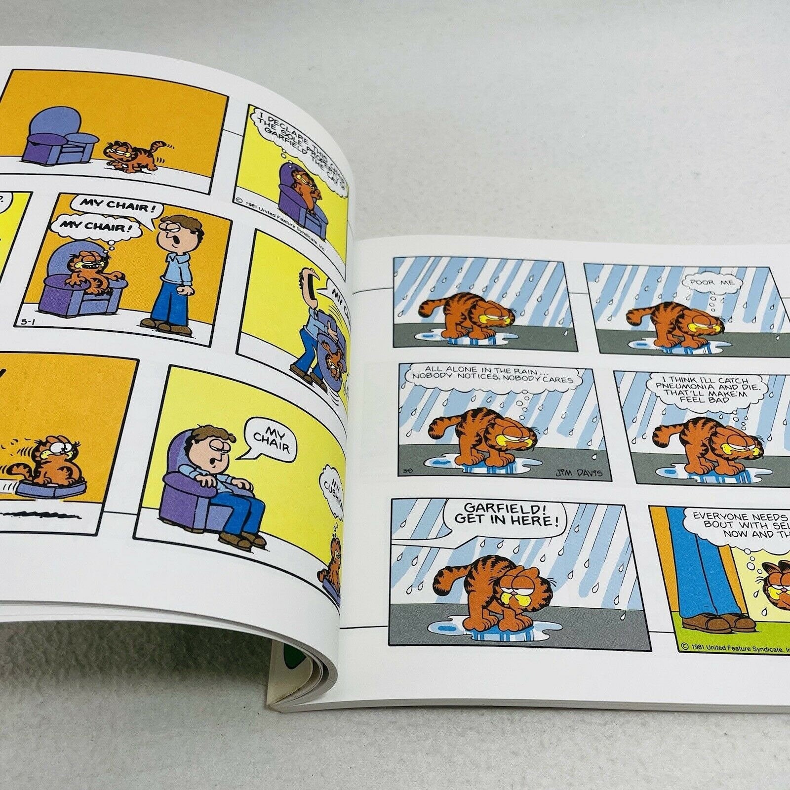 Rare vintage Garfield dessin animé bande dessinée Sunday Strip couleurs ...