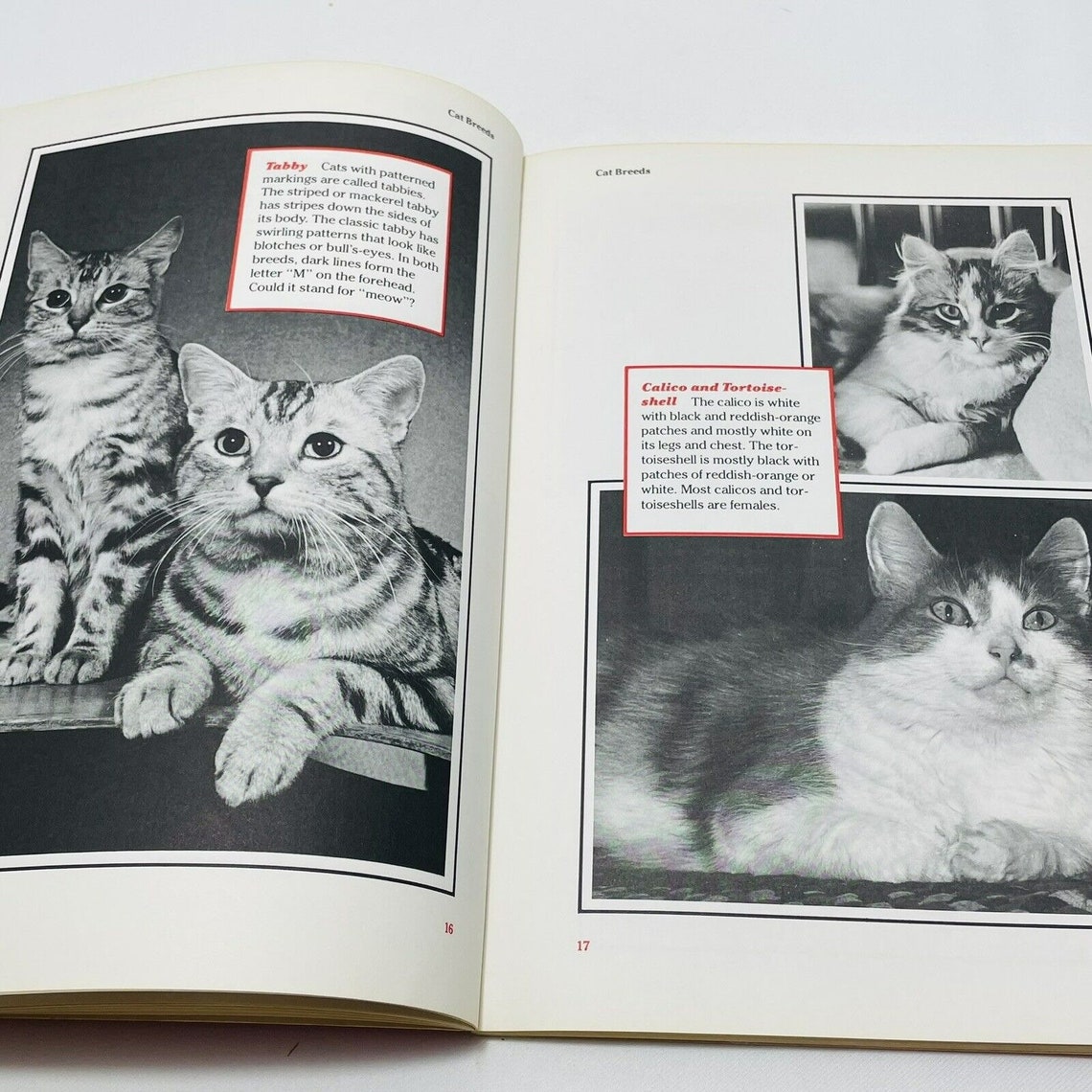 Vintage Garfield Jim Davis Complete Cat Book Information Handbook Guide ...