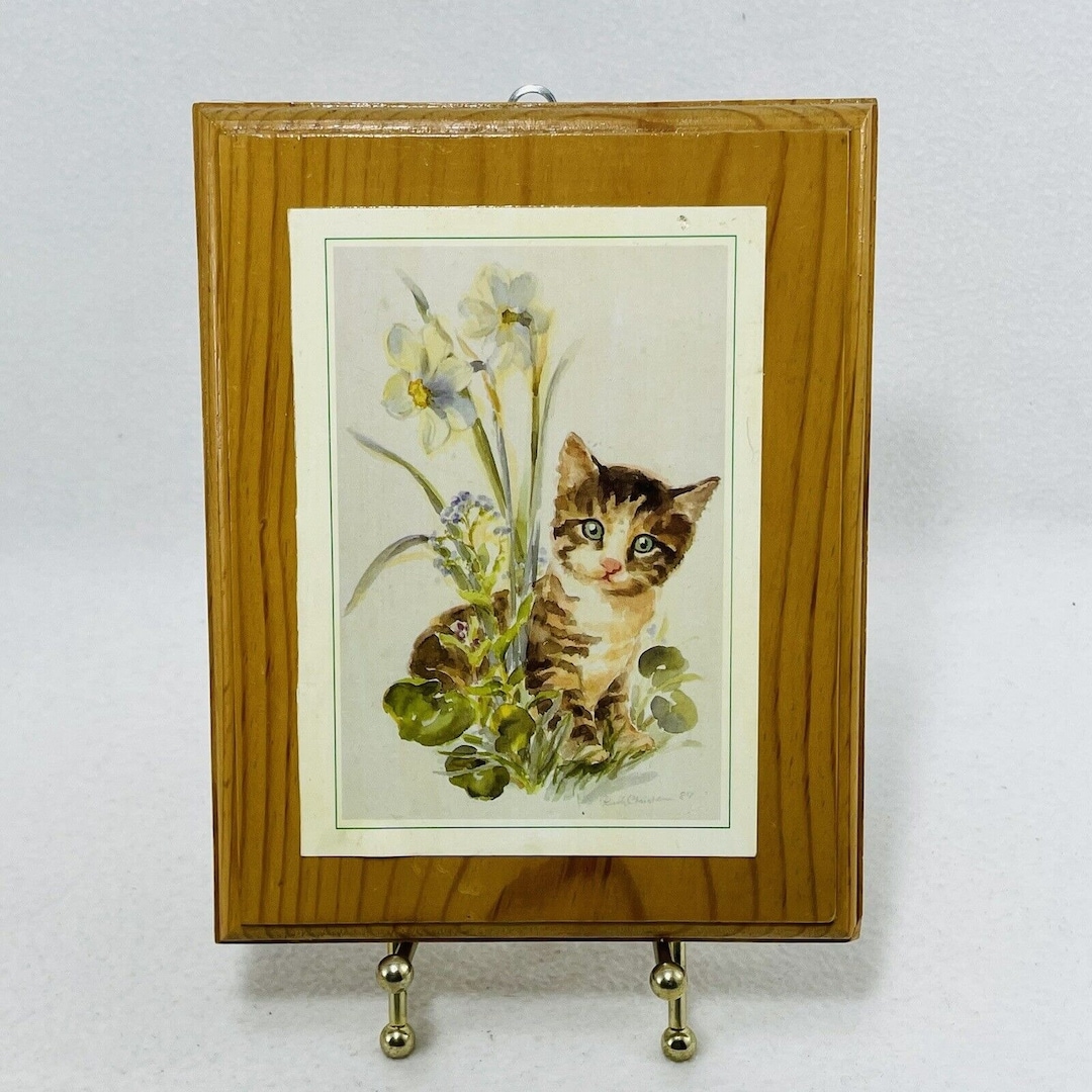 Tomcat Cat Frame Picture 6x8 Tabby Orange Stripe Kitten Flower Photo ...