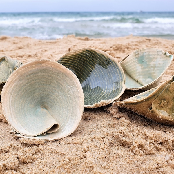 Ceramic Shells - Etsy