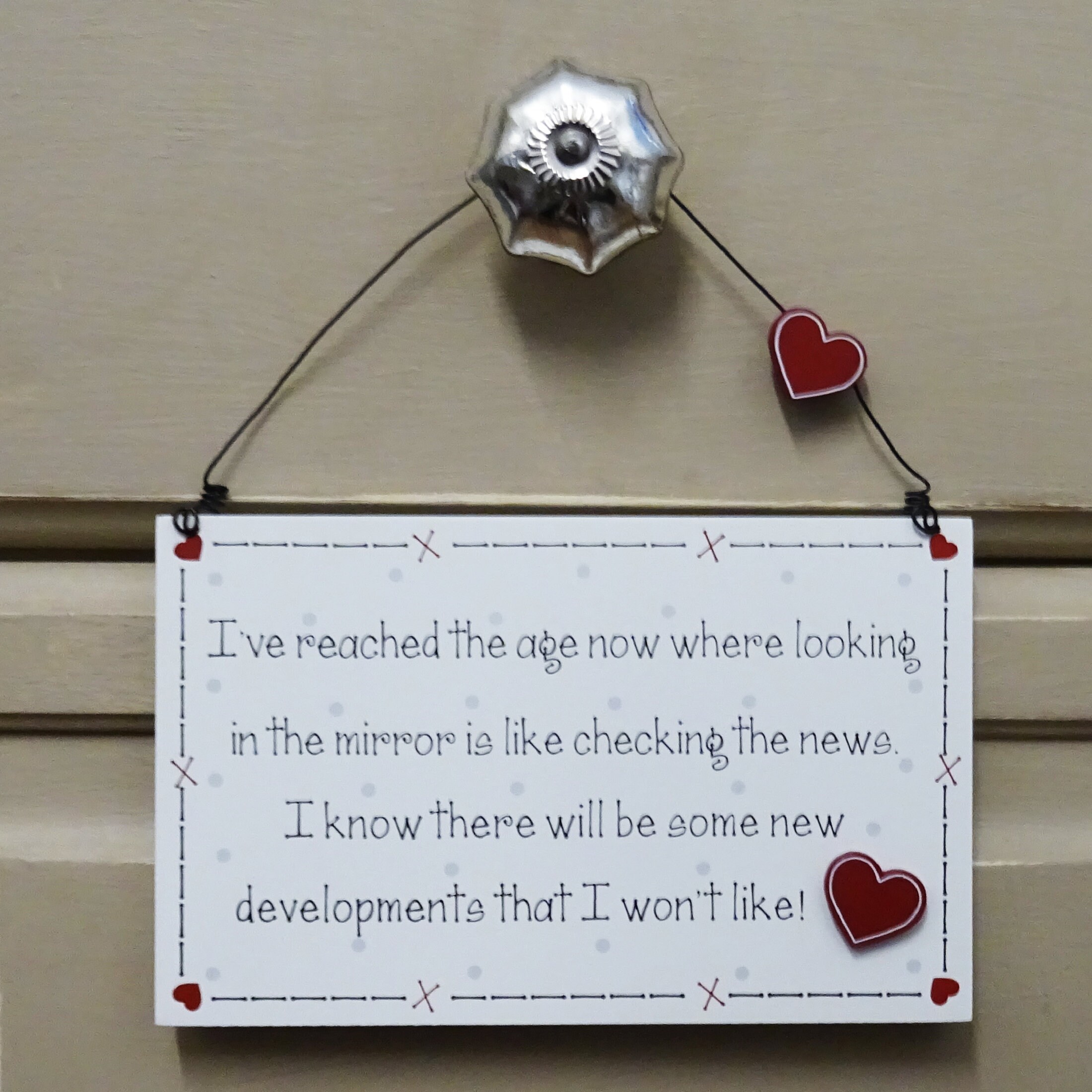 Plaque Sarcastic Humour Sign Toilet Paper Jogging Friends Are - Etsy