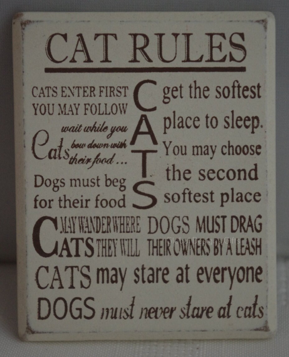 Cat Rules Fridge Magnet Humorous Funny Choice Of 3 Colours | Etsy